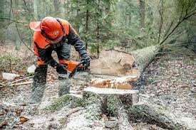 BOZP s motorovou pilou :: ZENCO BOZP